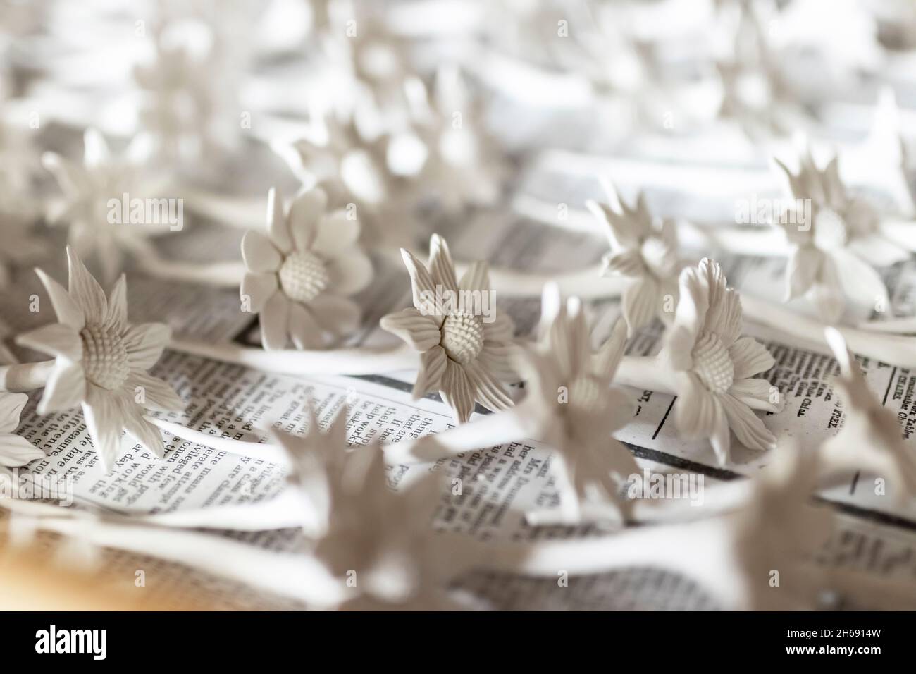 ceramic unglazed handmade biscuit flowers at Gladstone Pottery Museum ...
