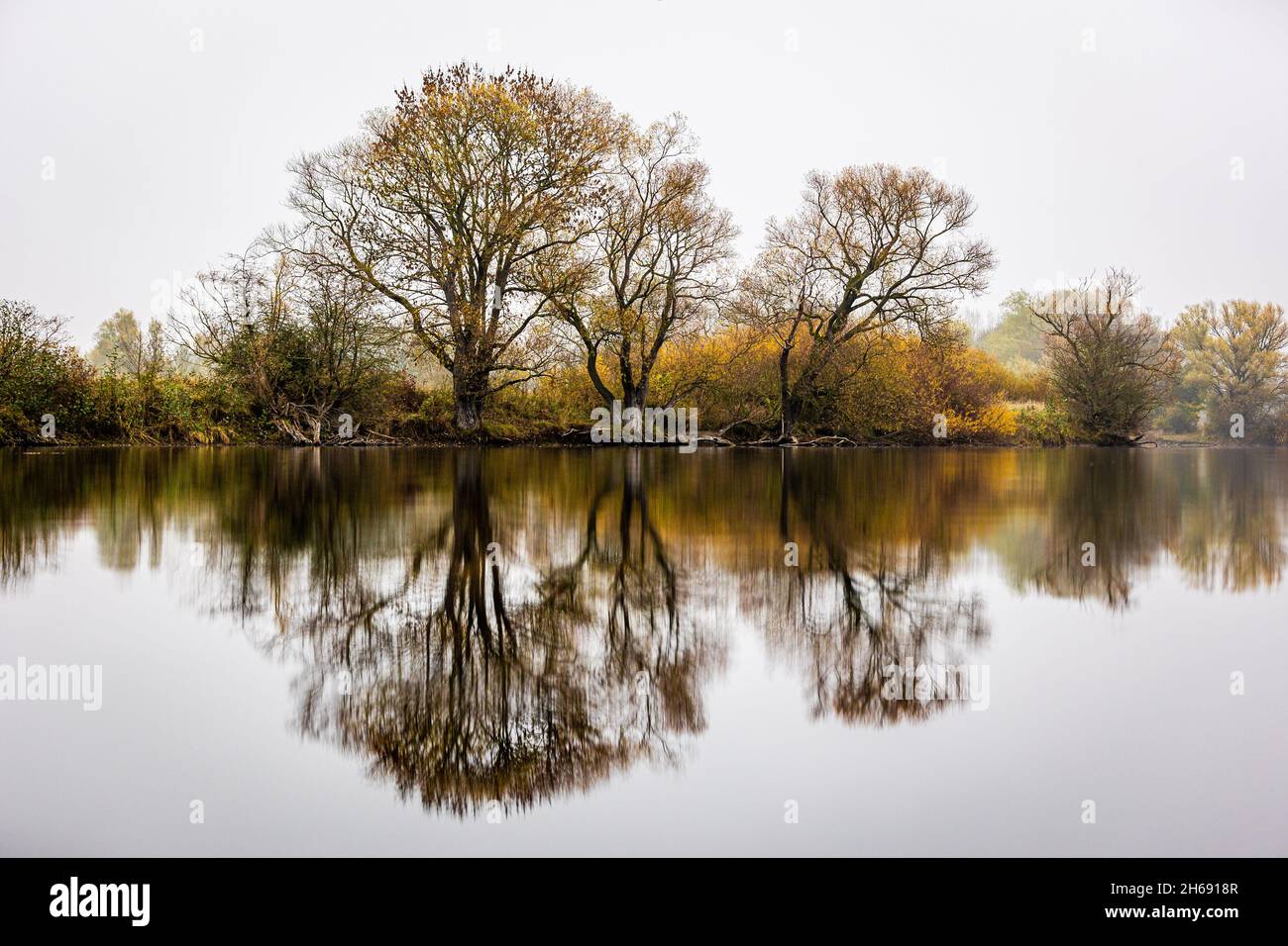 14 November 2021, Lower Saxony, Laatzen: Trees are reflected in the ...