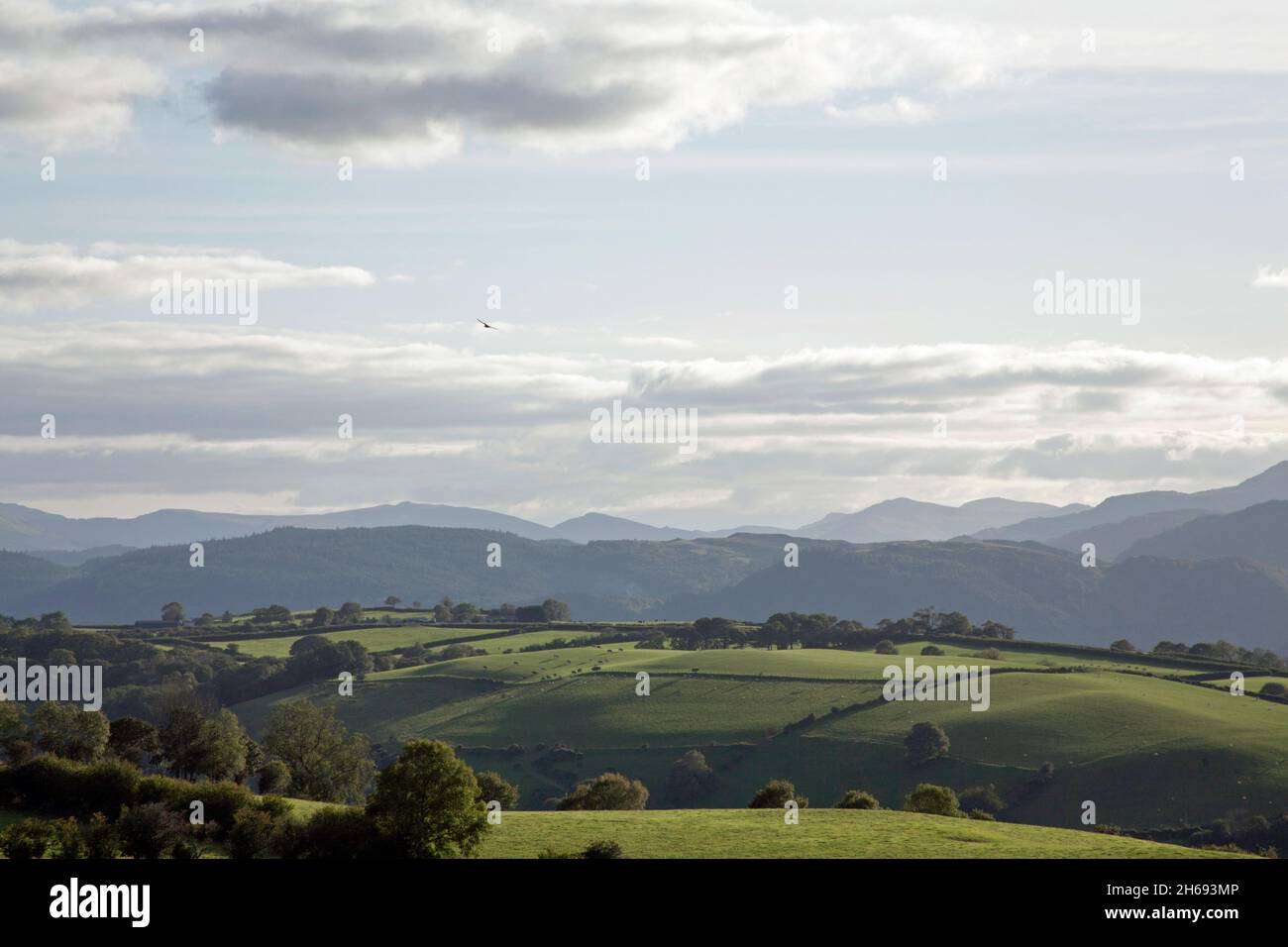 Summer evening in the Conwy Valley Snowdonia North Wales Stock Photo ...