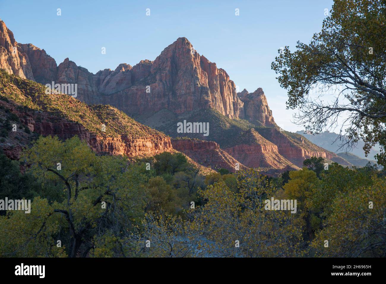 Zion National Park, Utah, USA. View from Canyon Junction over treetops ...