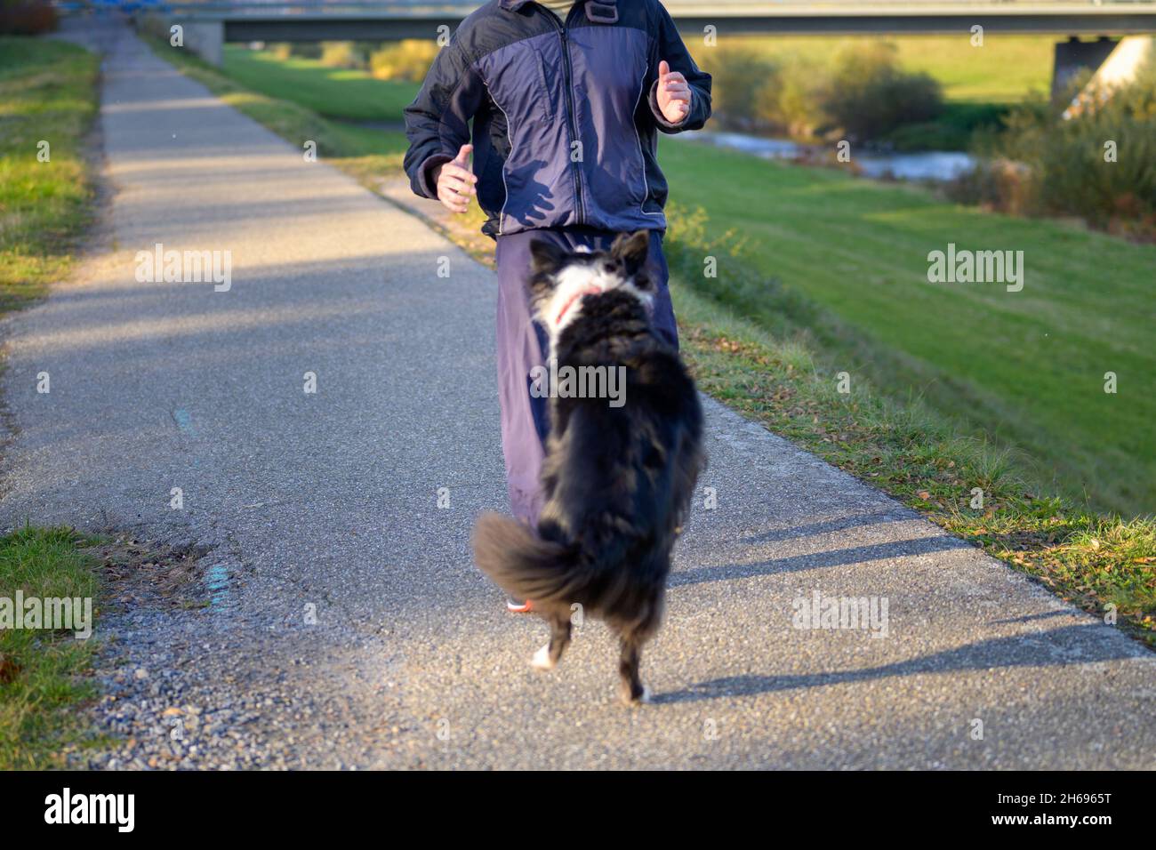 Countryside jogging with dog hi-res stock photography and images - Alamy