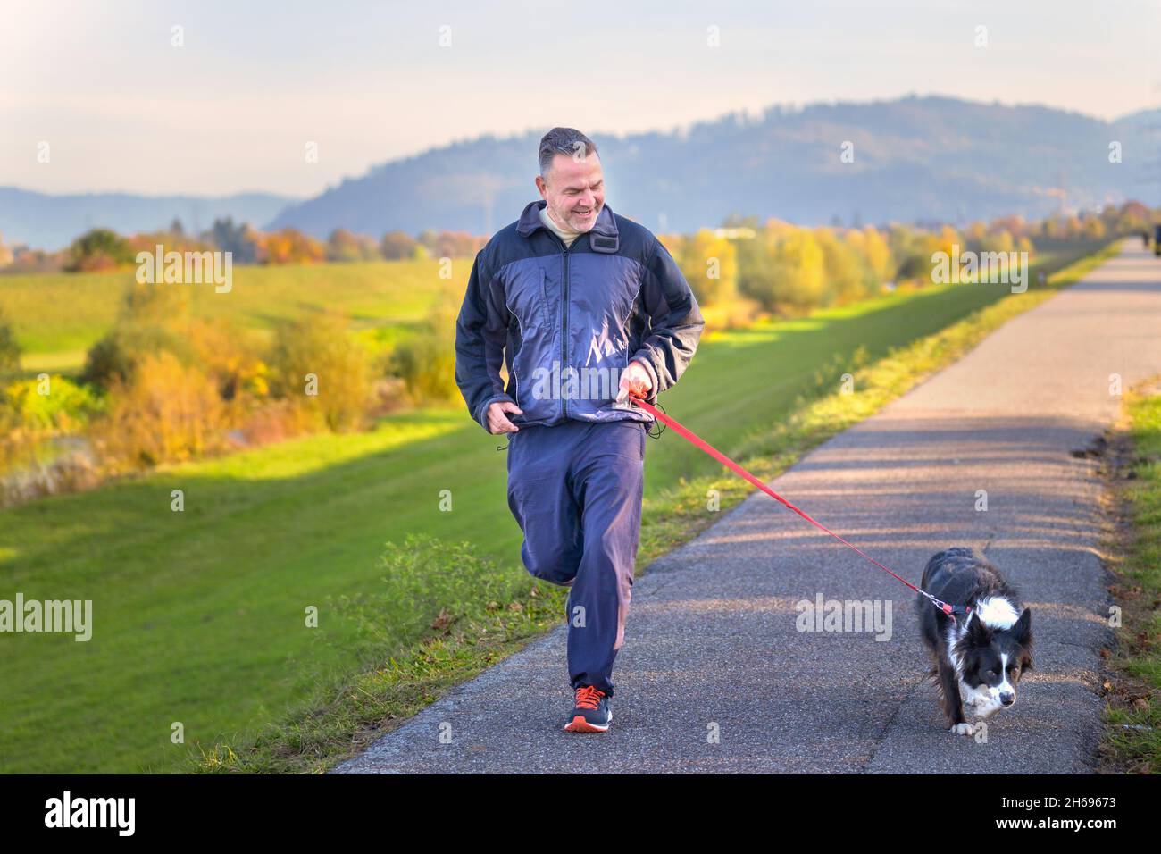 Fit athletic man taking his Border Collie for an evening run looking ...