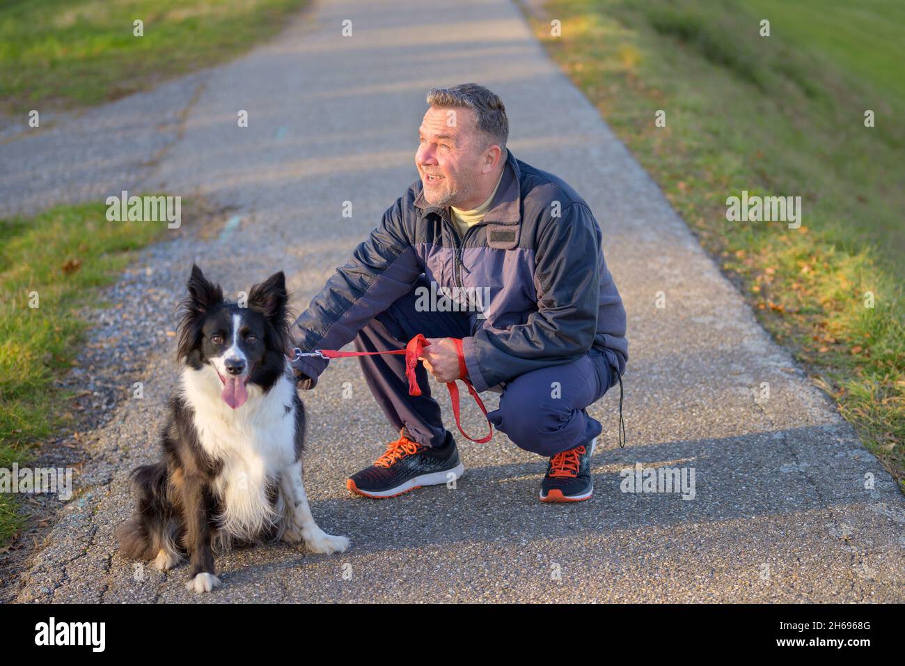 Man jogging dog border collie hi-res stock photography and images - Alamy