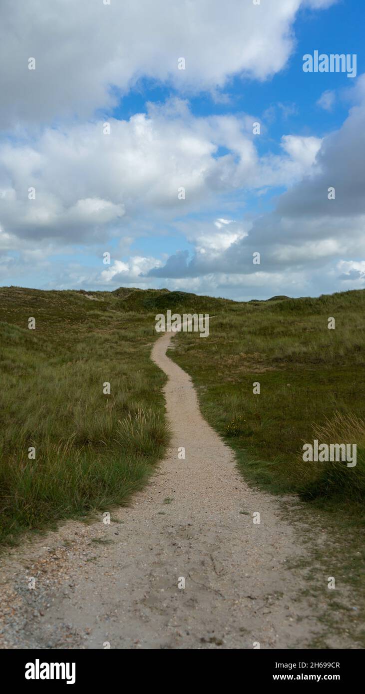 Narrow plain hi-res stock photography and images - Alamy