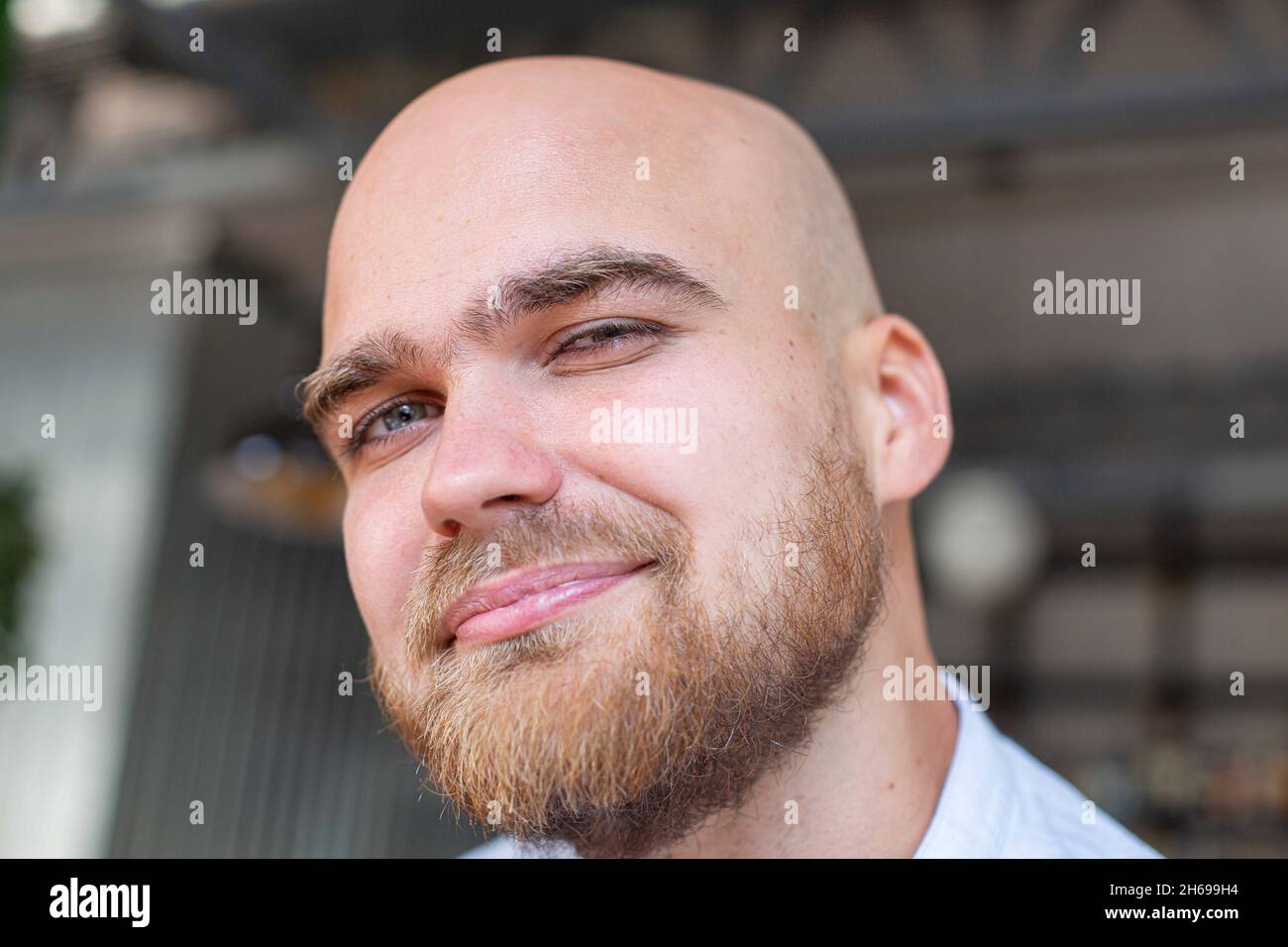 Closeup portrait of white european bald man with beard and grey eyes in ...