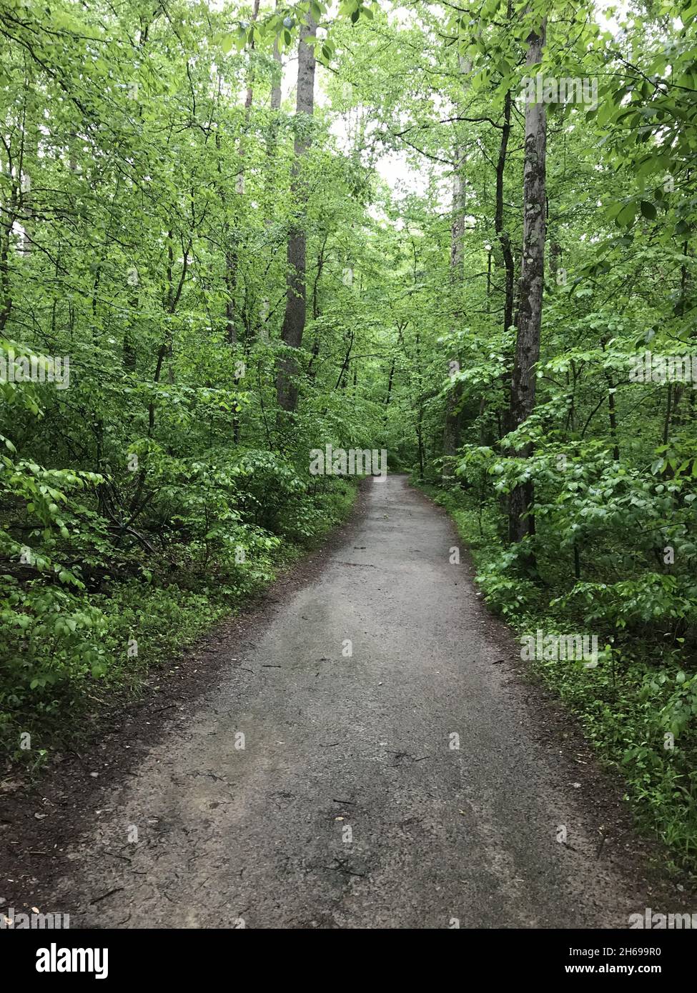 Vertical shot unpaved road hi-res stock photography and images - Alamy