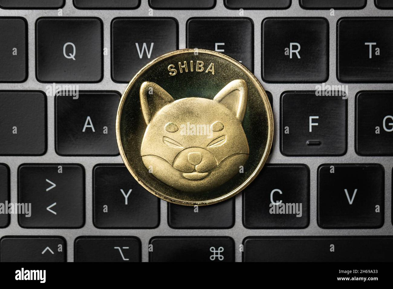 Golden shiba hi-res stock photography and images - Alamy