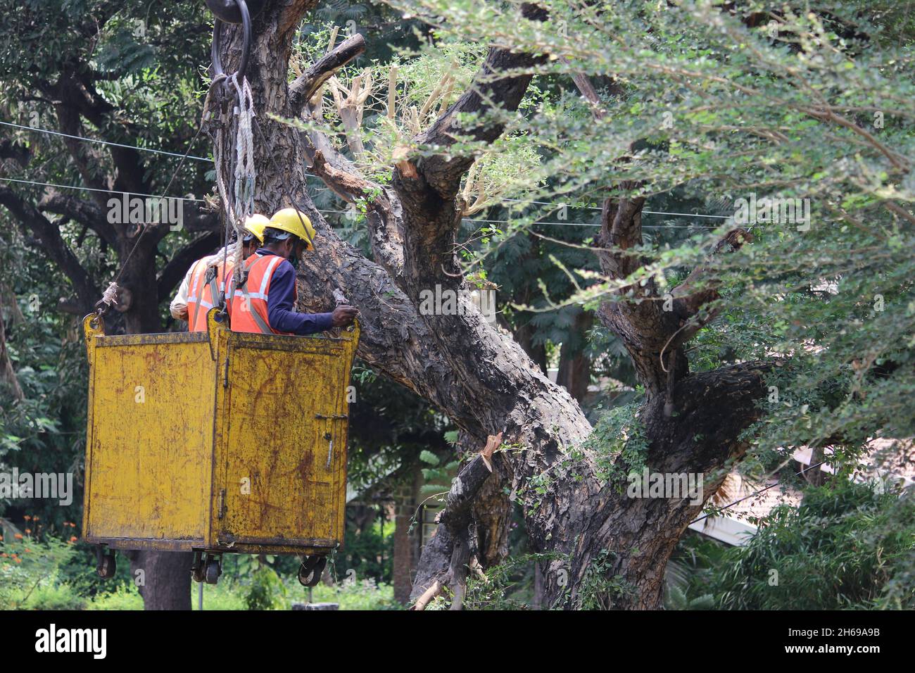 Mumbai, Maharashtra, India, May 25 2021: Workers cutting the branches ...