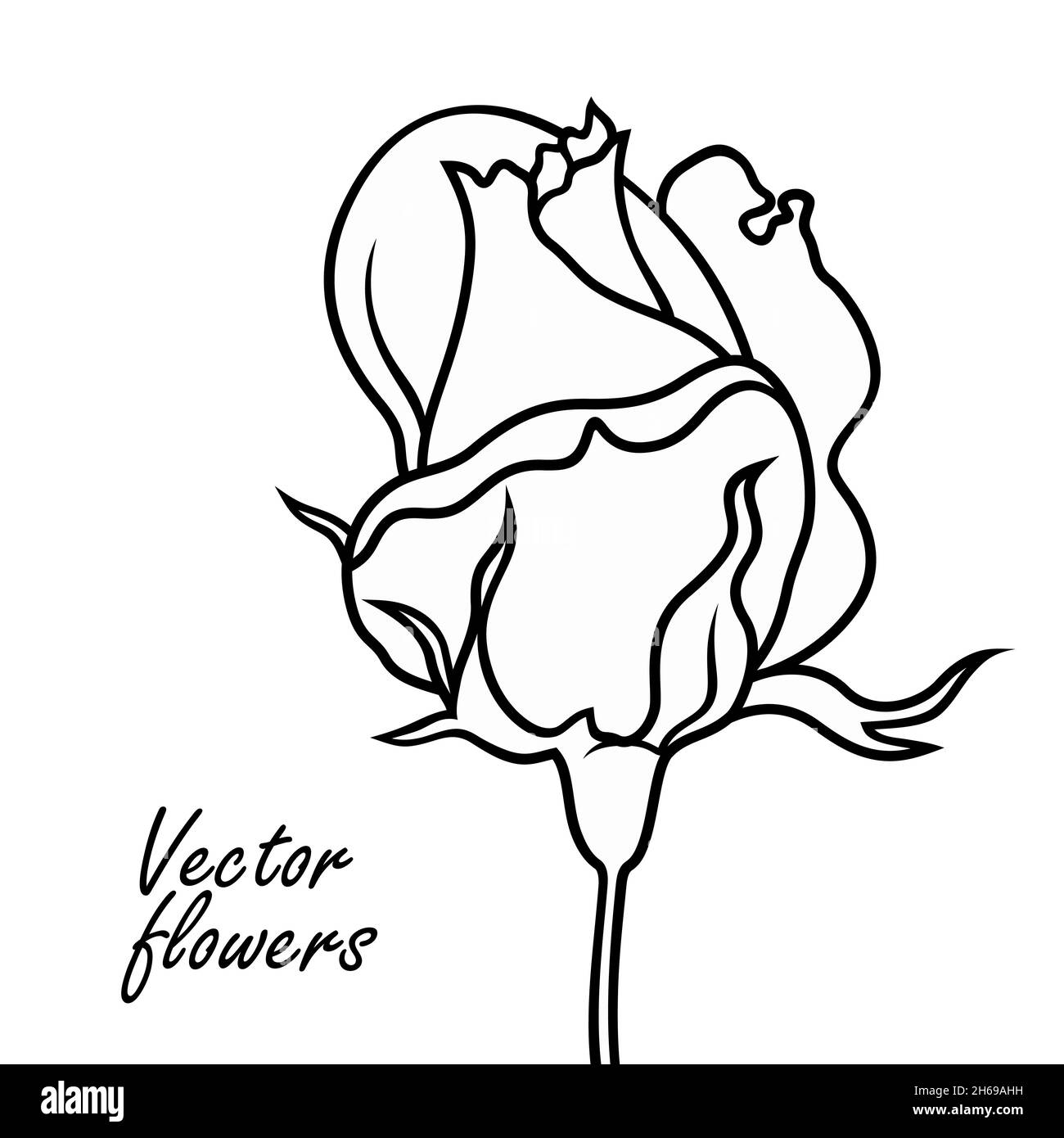 Rose line art vector hand drawn illustration. Minimalistic sketchy ...