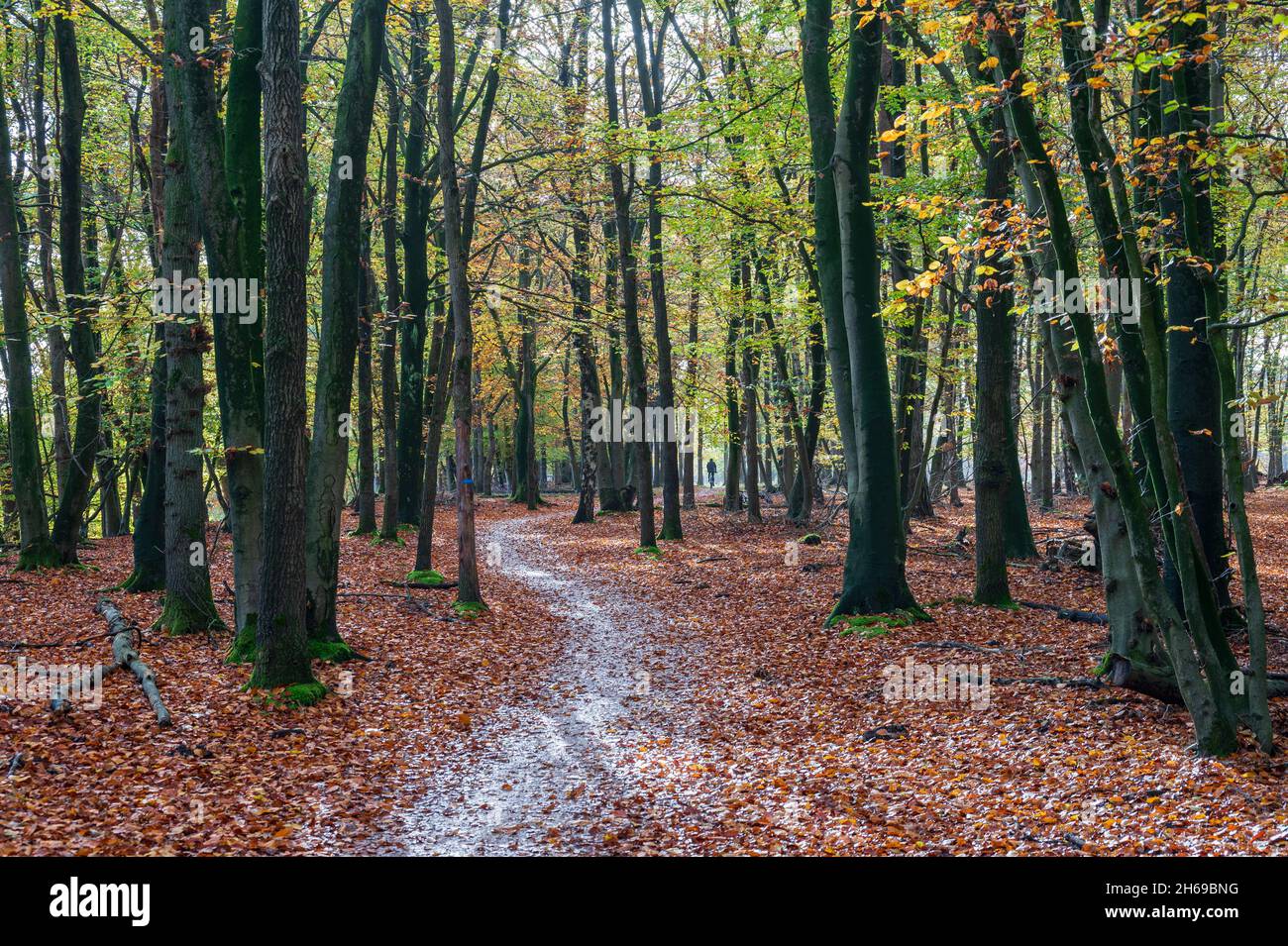 Bussum hi-res stock photography and images - Alamy