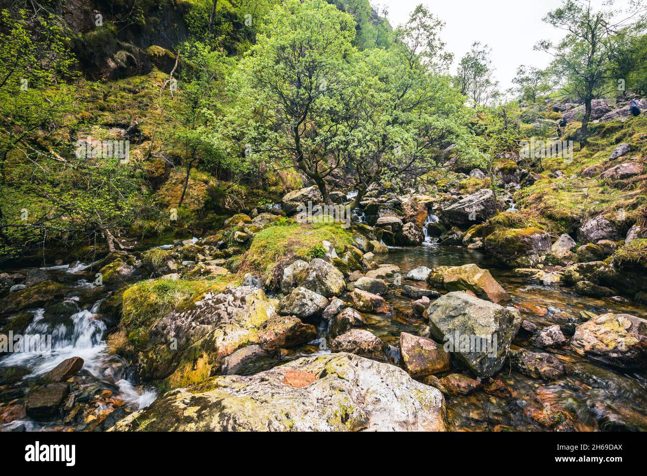 Hidden Valley view in the Scottish Highlands, UK Stock Photo - Alamy