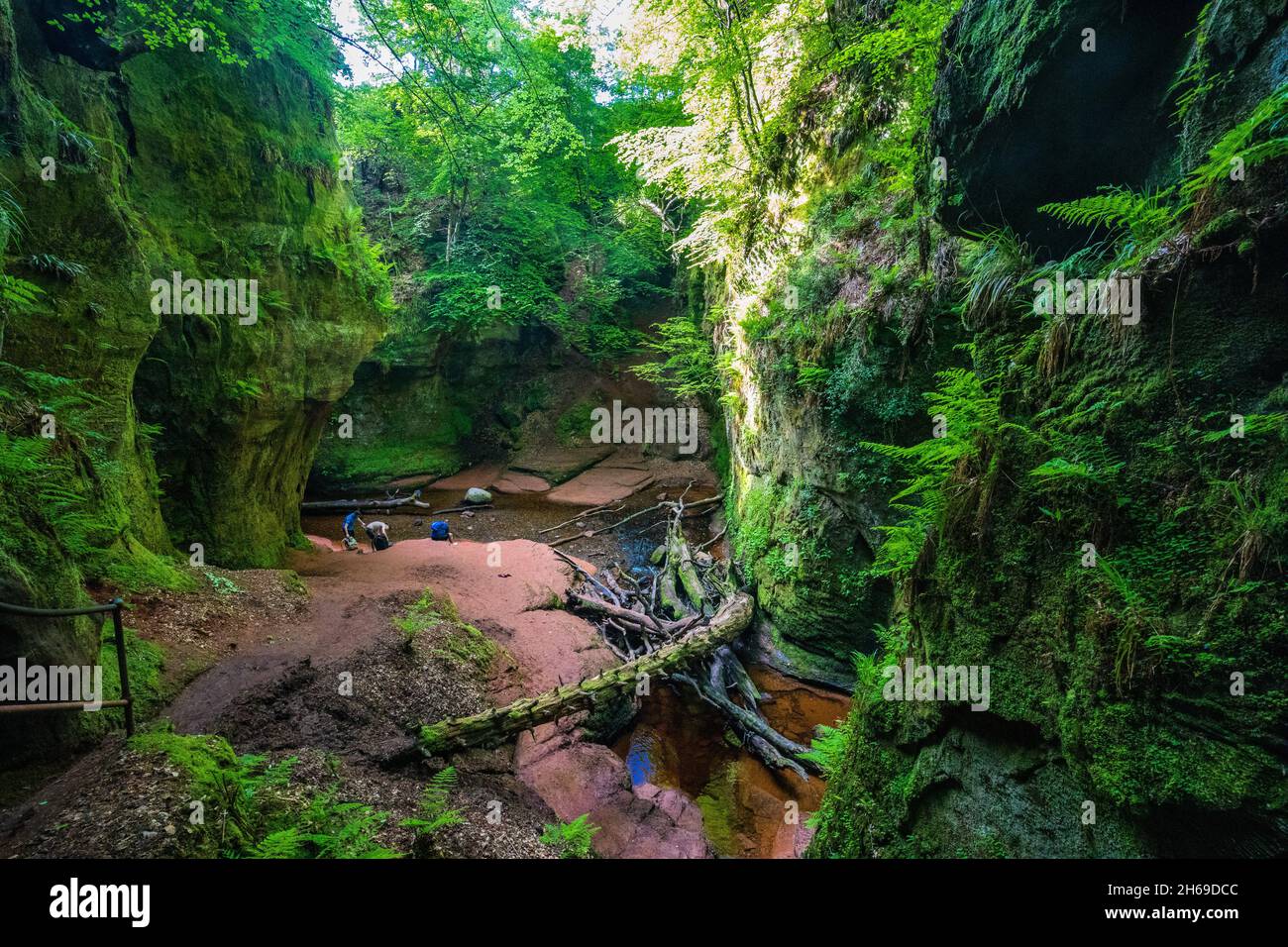 Devil’s Pulpit gorge, near Glasgow, Scotland, UK Stock Photo - Alamy