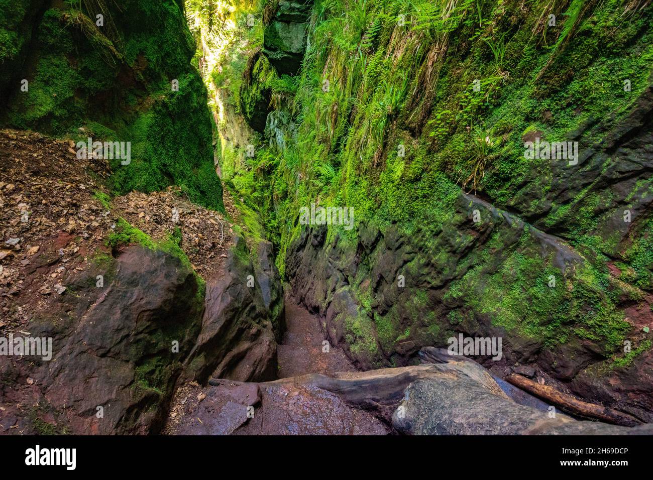 Devil’s Pulpit gorge, near Glasgow, Scotland, UK Stock Photo - Alamy