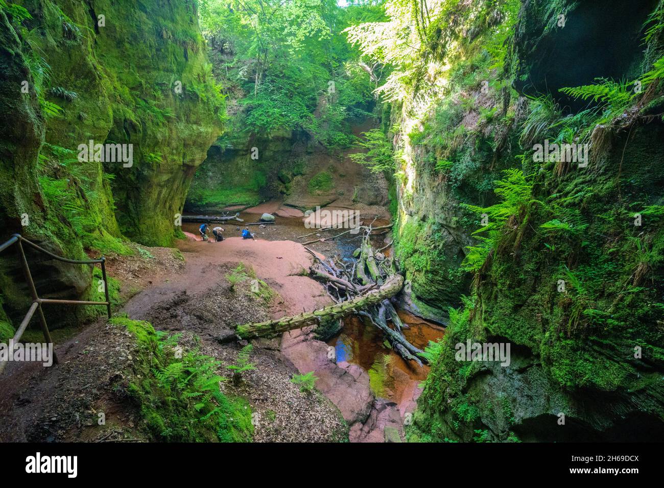 Devil’s Pulpit gorge, near Glasgow, Scotland, UK Stock Photo - Alamy