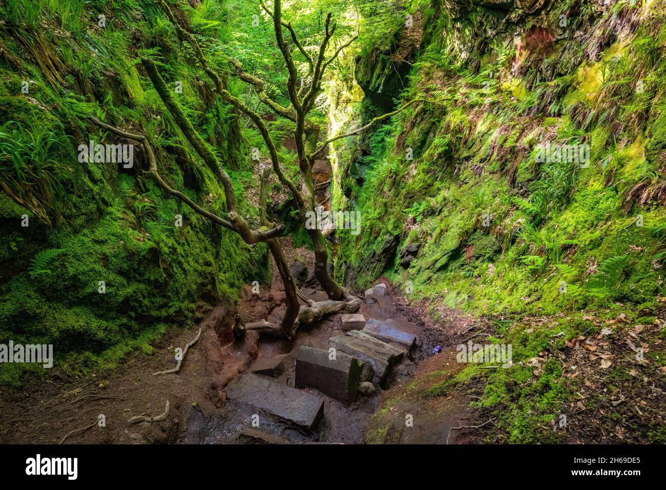 Devils Pulpit Glasgow High Resolution Stock Photography and Images - Alamy
