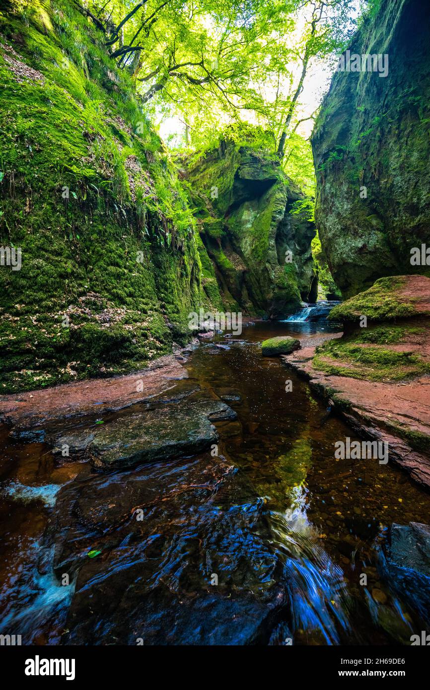 Devil’s Pulpit gorge, near Glasgow, Scotland, UK Stock Photo - Alamy