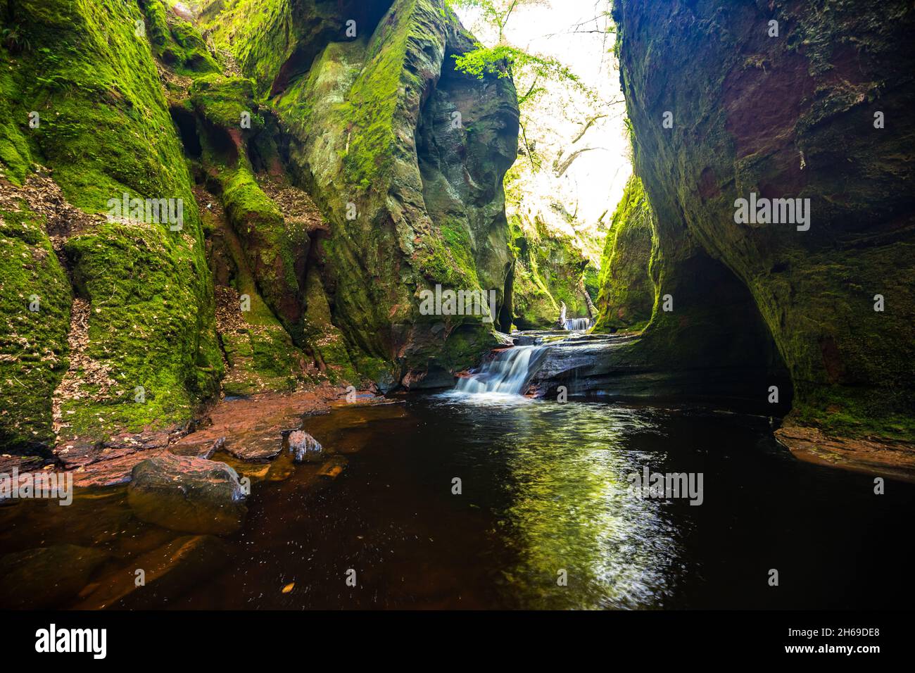 Devil’s Pulpit gorge, near Glasgow, Scotland, UK Stock Photo - Alamy
