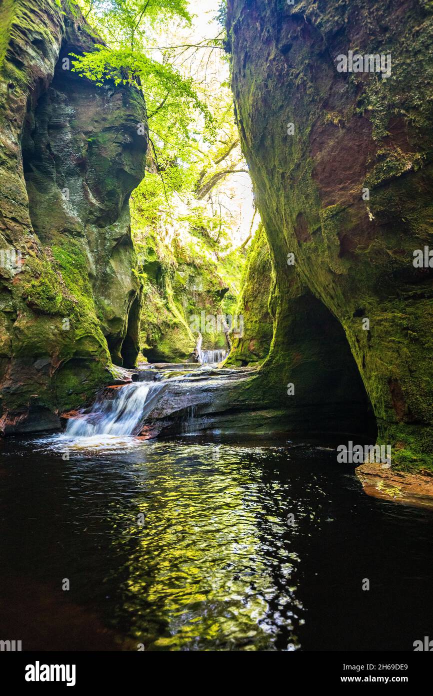 Devil’s Pulpit gorge, near Glasgow, Scotland, UK Stock Photo - Alamy