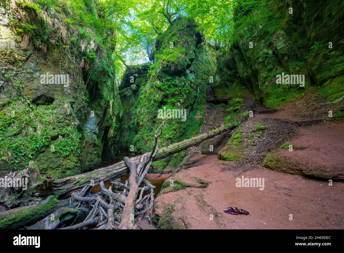 Devil’s Pulpit gorge, near Glasgow, Scotland, UK Stock Photo - Alamy