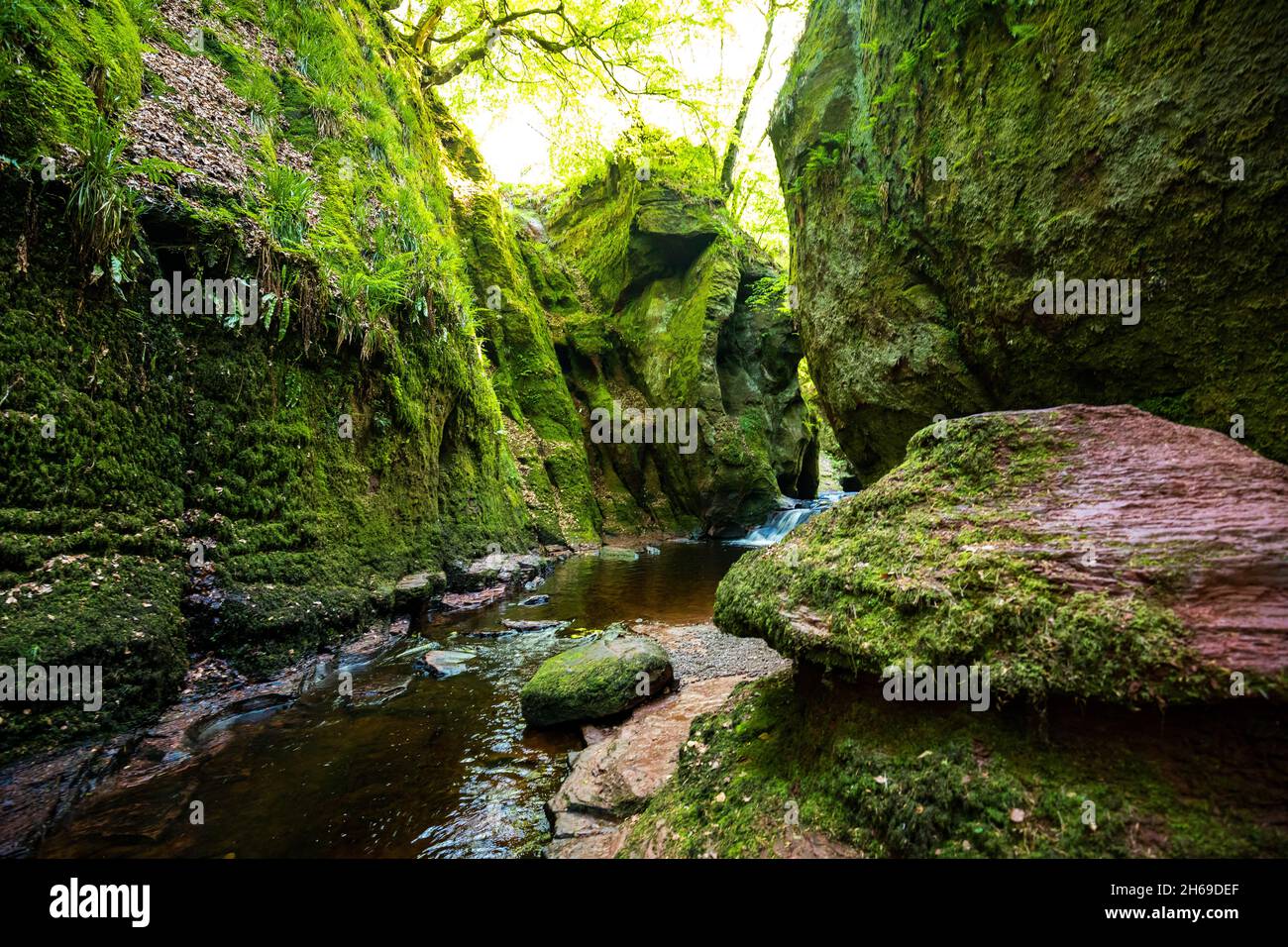 Devil’s Pulpit gorge, near Glasgow, Scotland, UK Stock Photo - Alamy