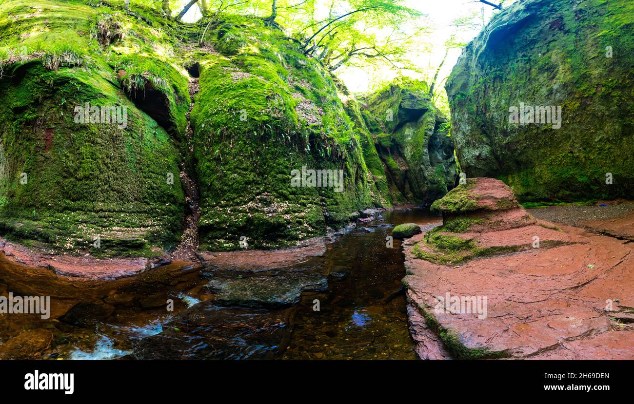 Devil’s Pulpit gorge, near Glasgow, Scotland, UK Stock Photo - Alamy