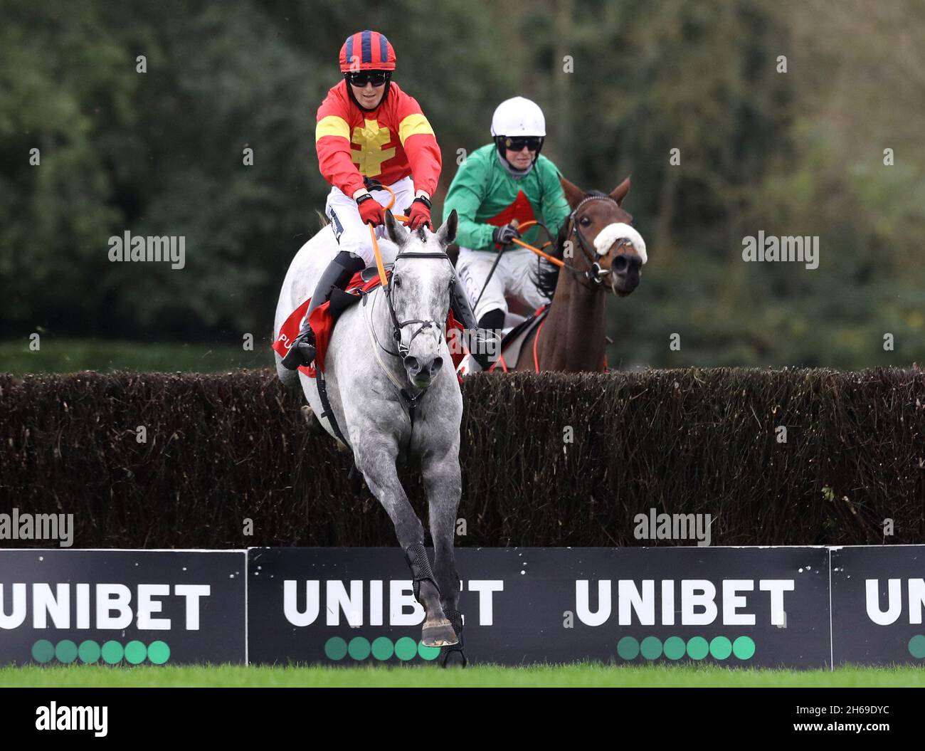 Vanillier horse hi-res stock photography and images - Alamy