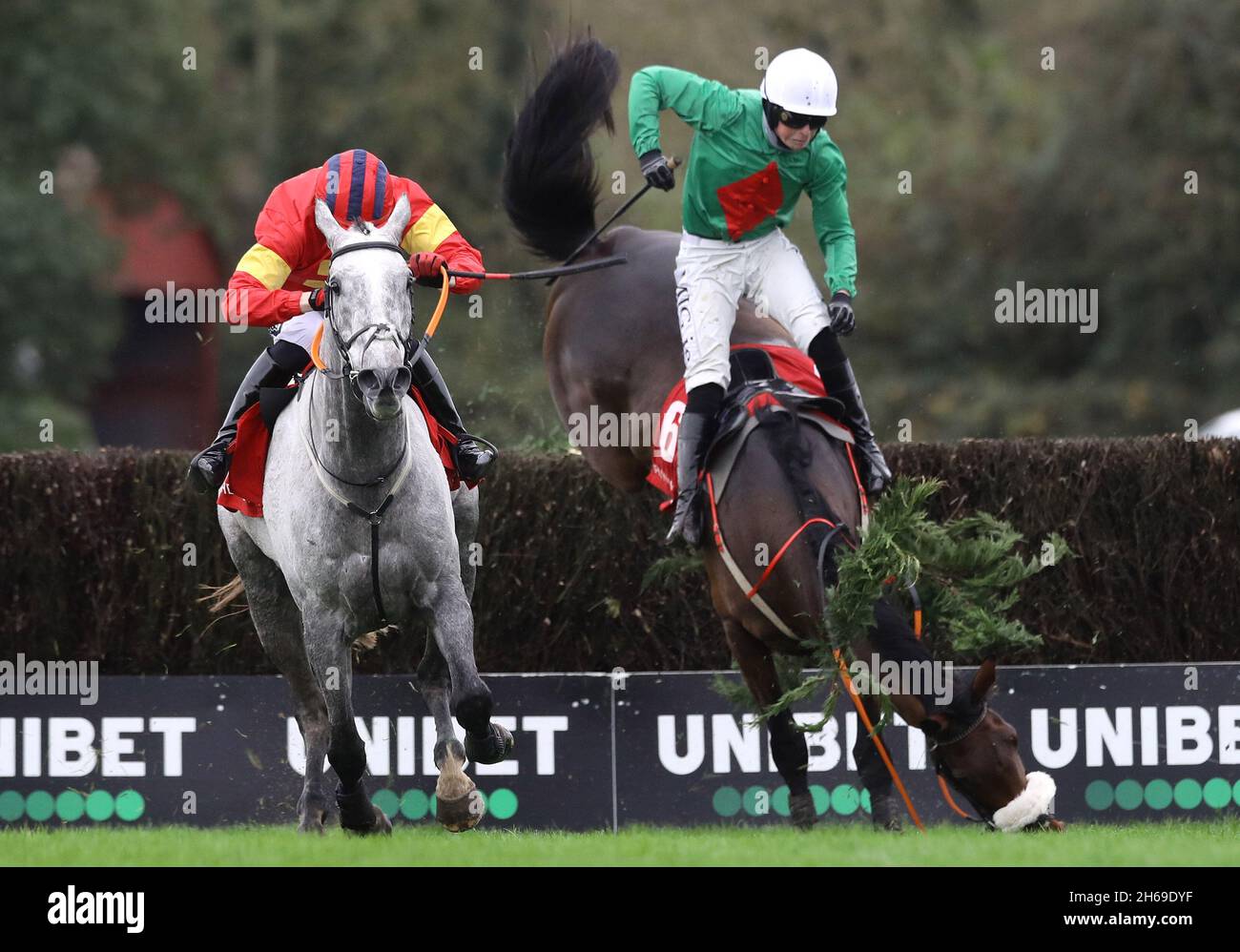 Vanillier horse hi-res stock photography and images - Alamy