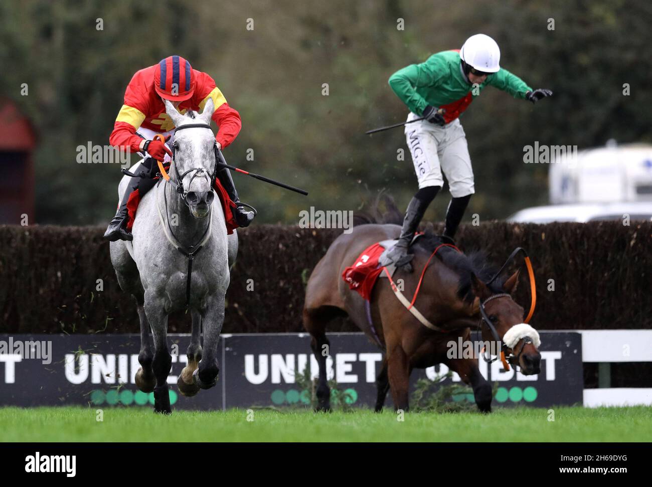 Vanillier horse hi-res stock photography and images - Alamy