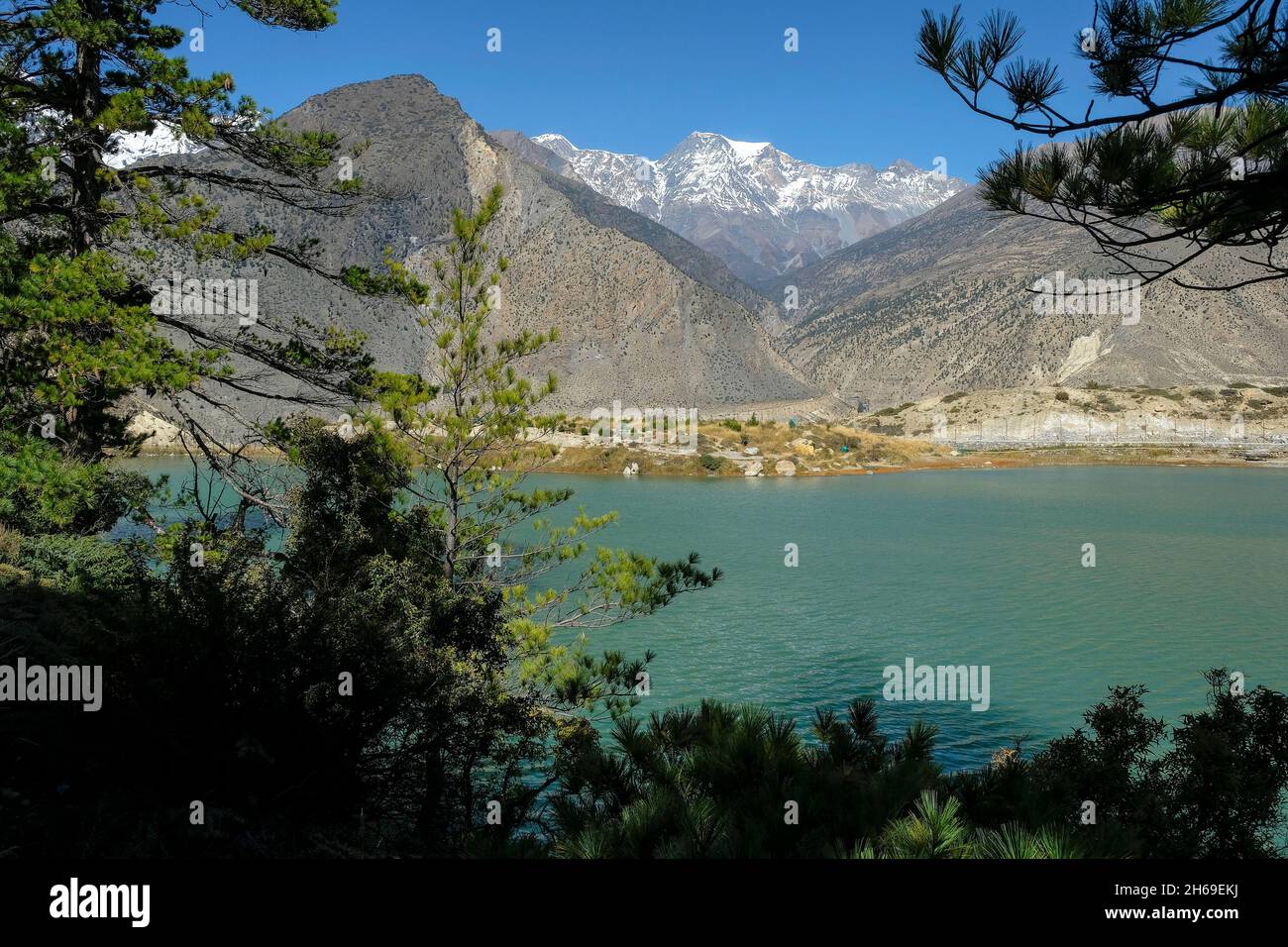 Dhumba Lake near Jomsom in Lower Mustang, Nepal Stock Photo - Alamy