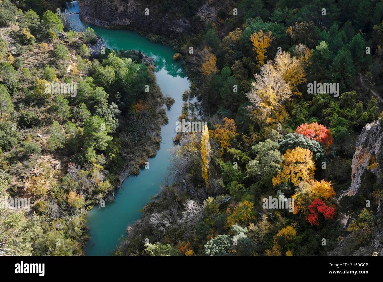 Colorful display of trees in fall season in Spain Stock Photo - Alamy