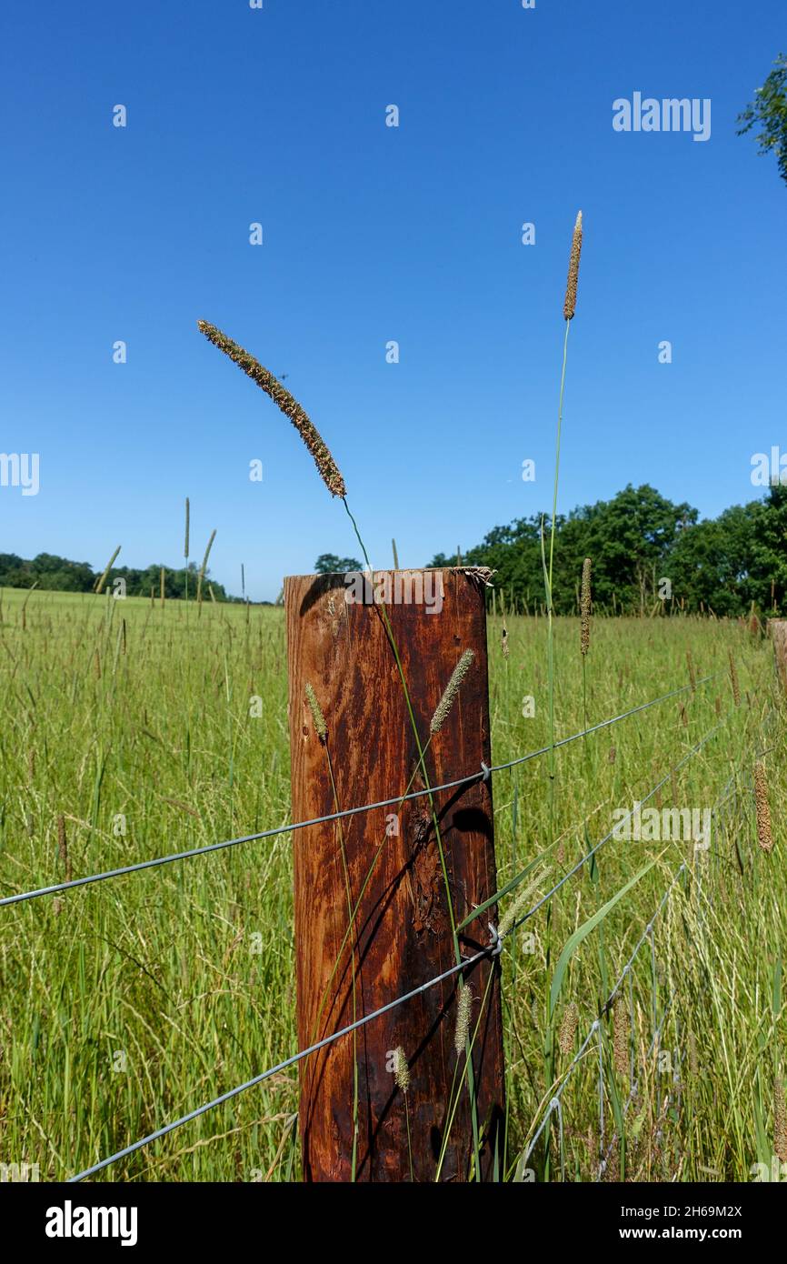 A vertical shot of a wooden pillar in a fenced sunny rural field Stock ...