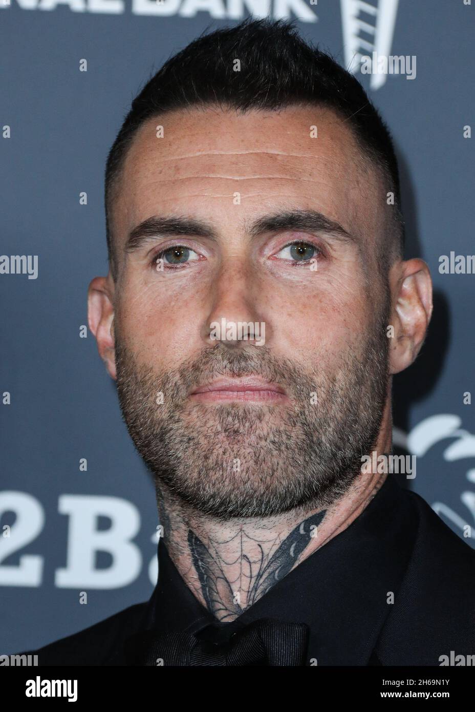 WEST HOLLYWOOD, LOS ANGELES, CALIFORNIA, USA - NOVEMBER 13: Singer Adam ...