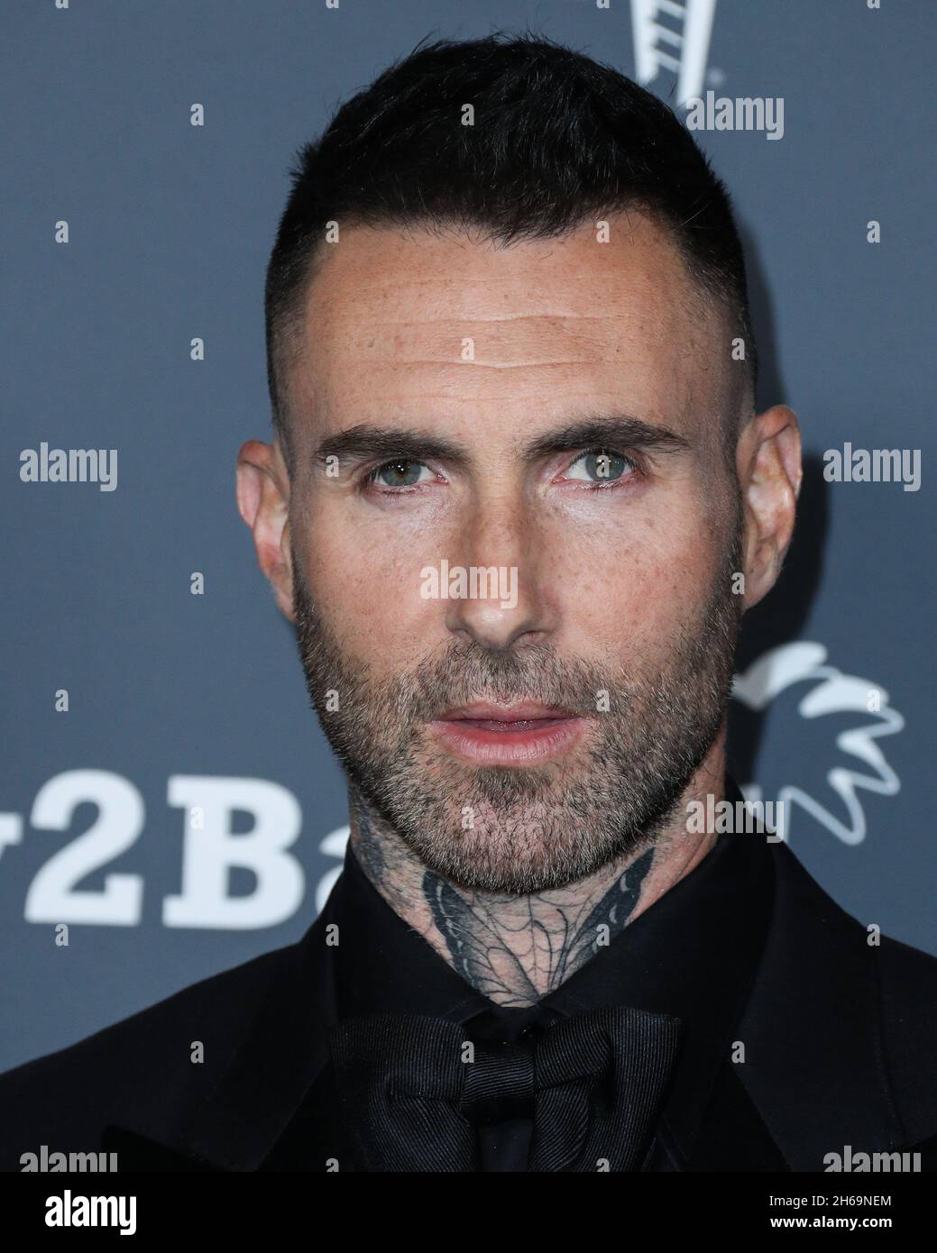 WEST HOLLYWOOD, LOS ANGELES, CALIFORNIA, USA - NOVEMBER 13: Singer Adam ...