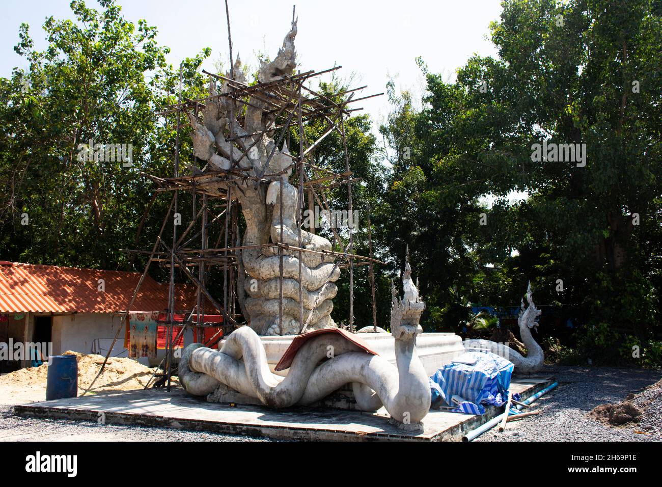 Snake shells hi-res stock photography and images - Alamy