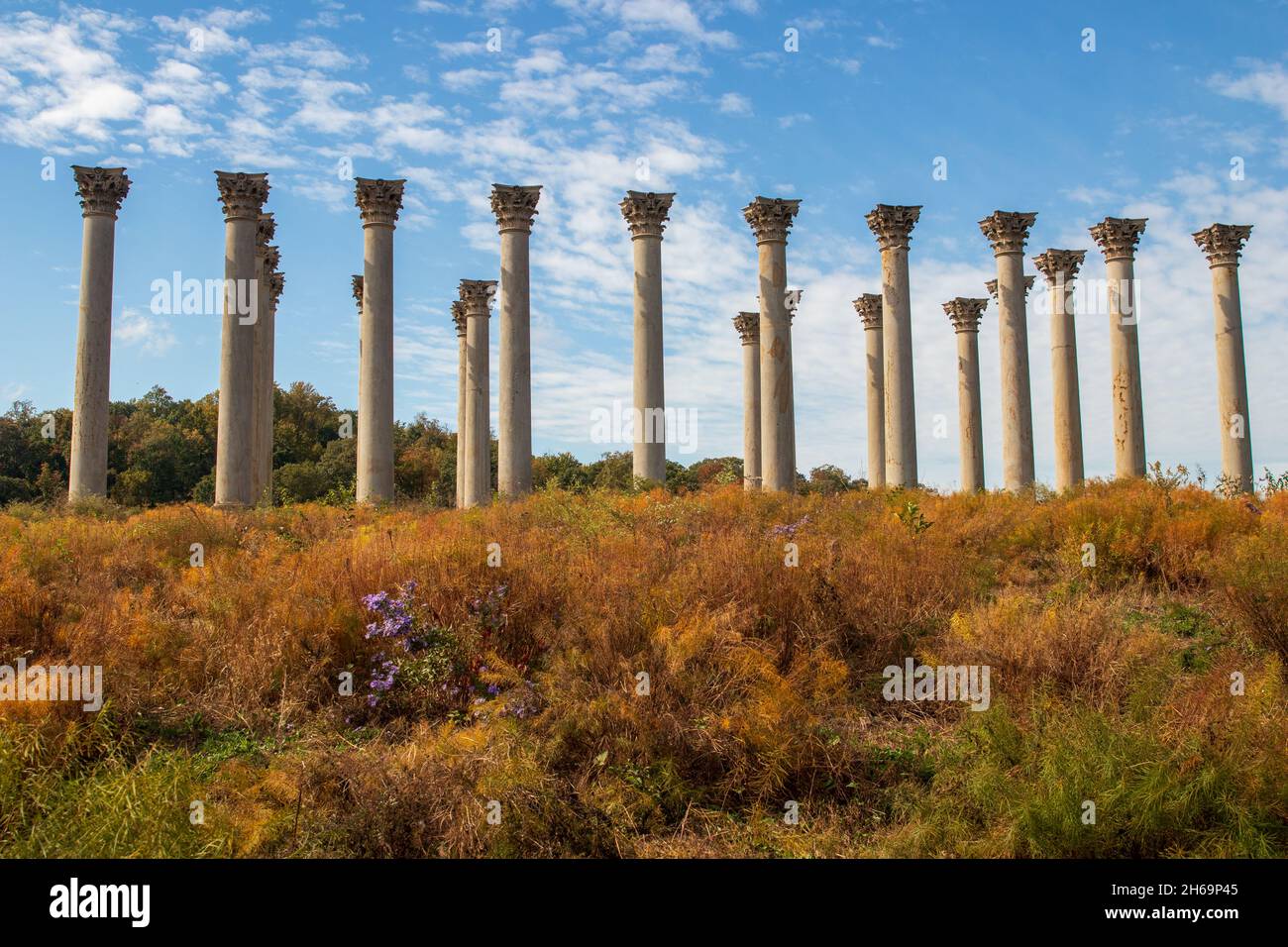 Old Capitol Columns at the National Arboretum Stock Photo - Alamy