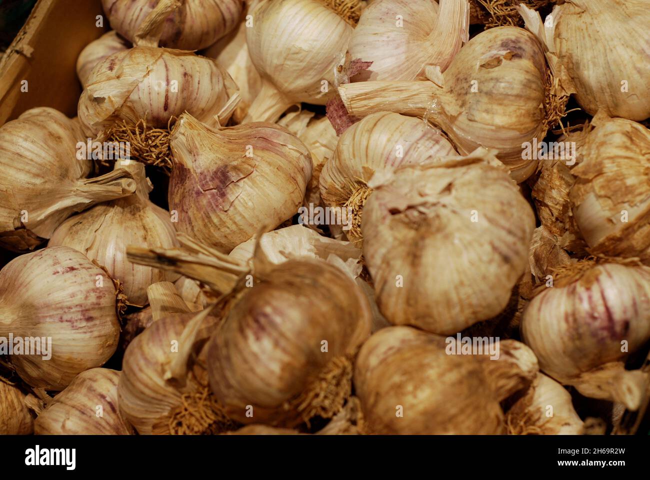 Ascii hi-res stock photography and images - Alamy