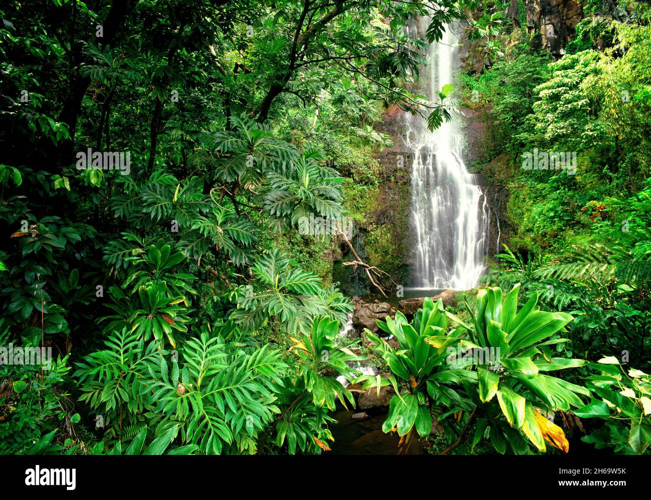Wailua falls maui hawaii hi-res stock photography and images - Alamy