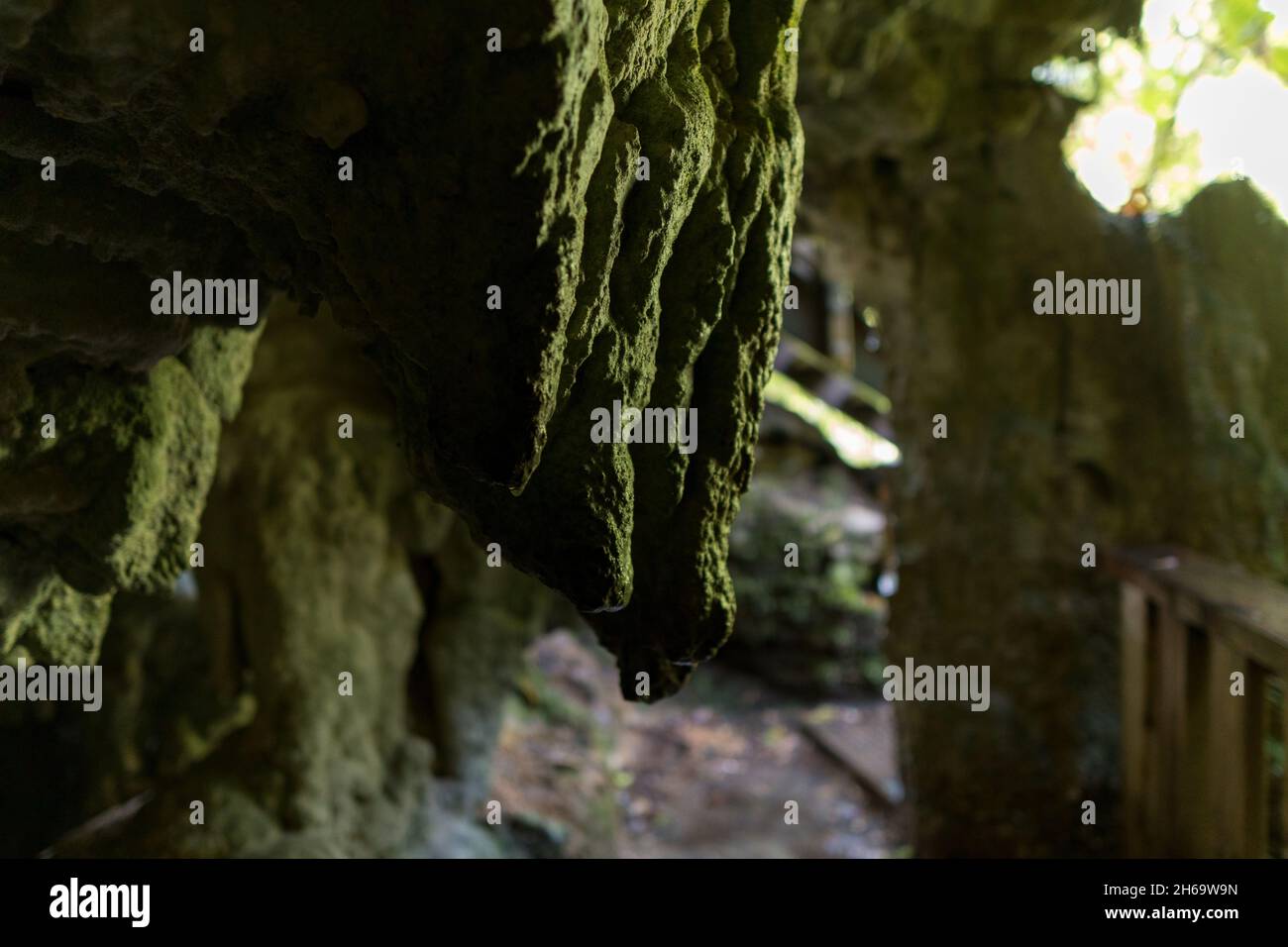 Cave Tunnel, Ruakuri Bush and Scenic Reserve, Waitomo, New Zealand ...