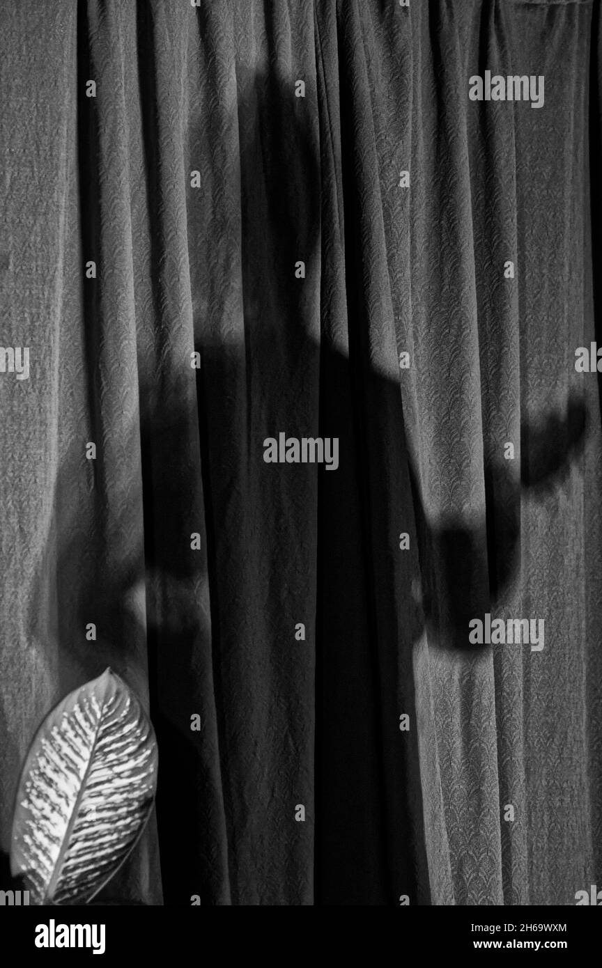 Shadow of guitar Black and White Stock Photos & Images - Alamy