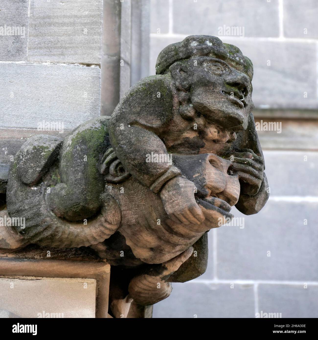 Gargoyle pulling nose of cow, on the Guild chapel, Chapel Lane ...