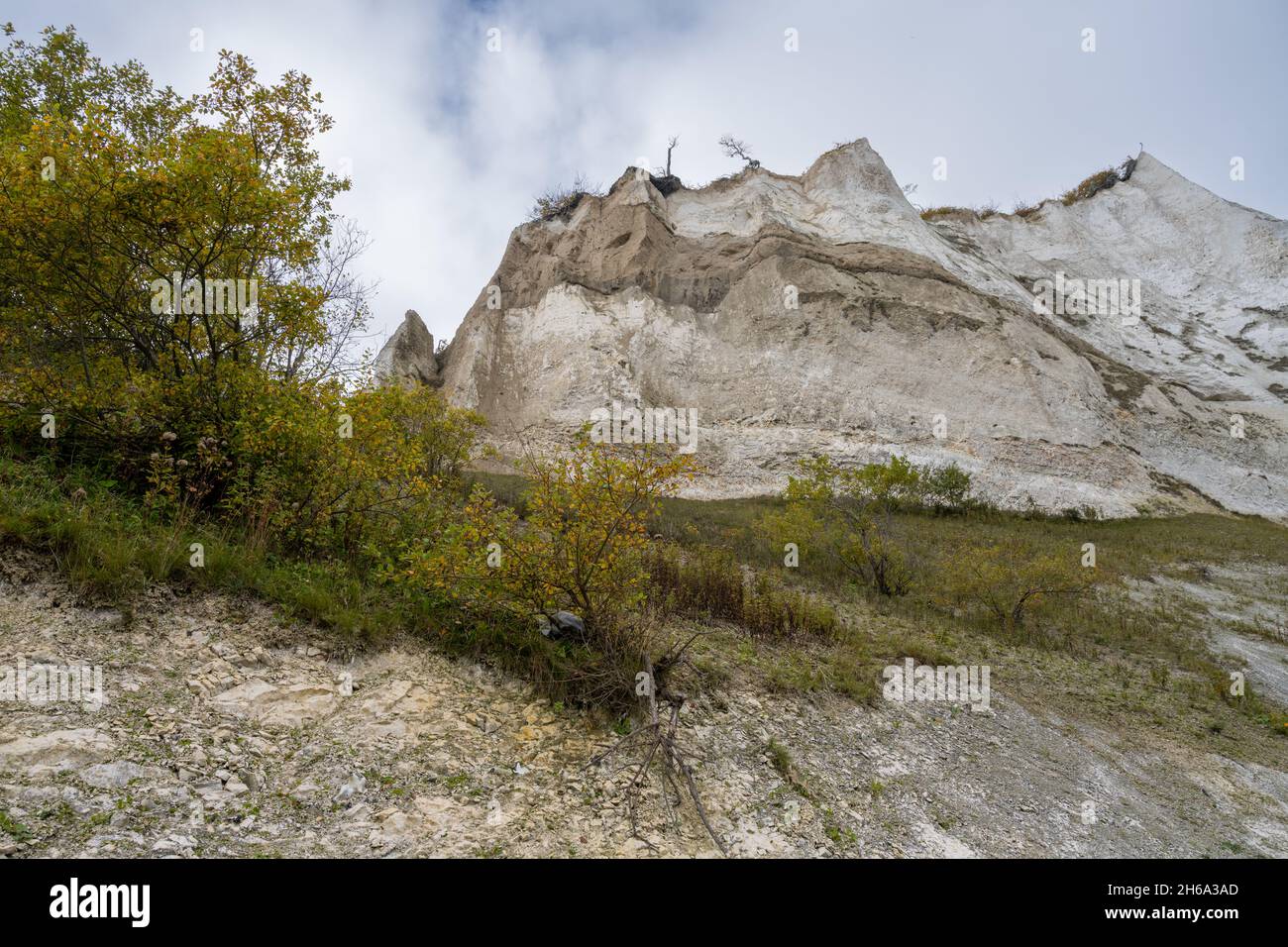 Beautiful chalk cliffs towering over the Baltic Sea. Picture from Mons ...