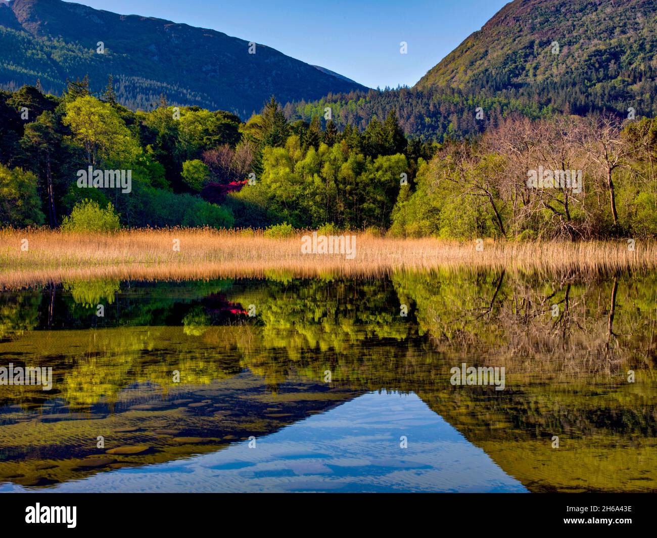 Spring Reflections on Lough Leane, Muckross House County Kerry, Munster ...