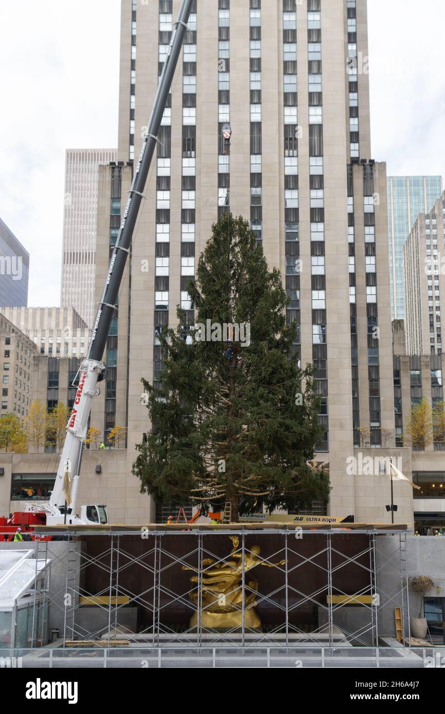 The 70 foot tall, 46 foot in diameter, and 12 ton Rockefeller Center ...