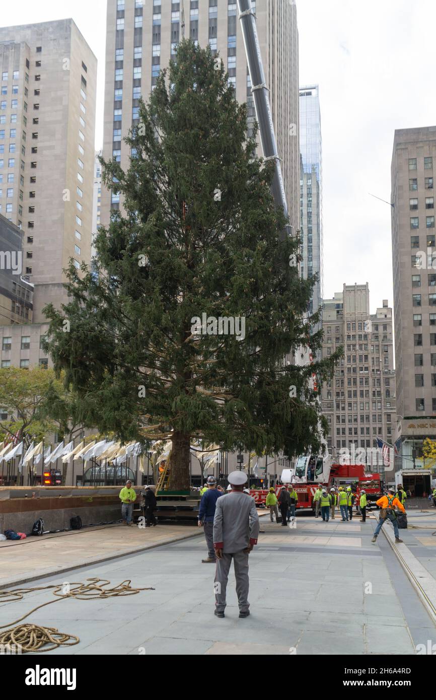 The 70 foot tall, 46 foot in diameter, and 12 ton Rockefeller Center ...