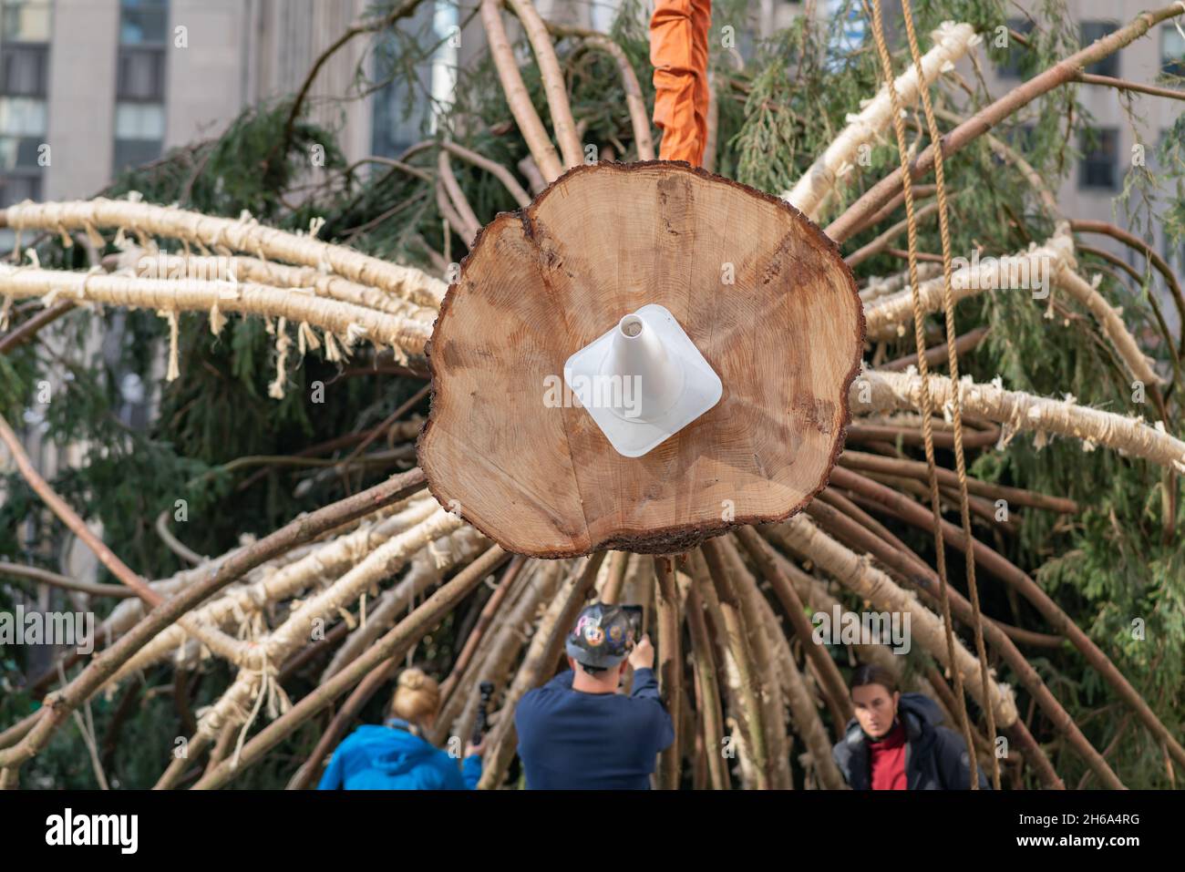 70 foot tall tree hi-res stock photography and images - Alamy