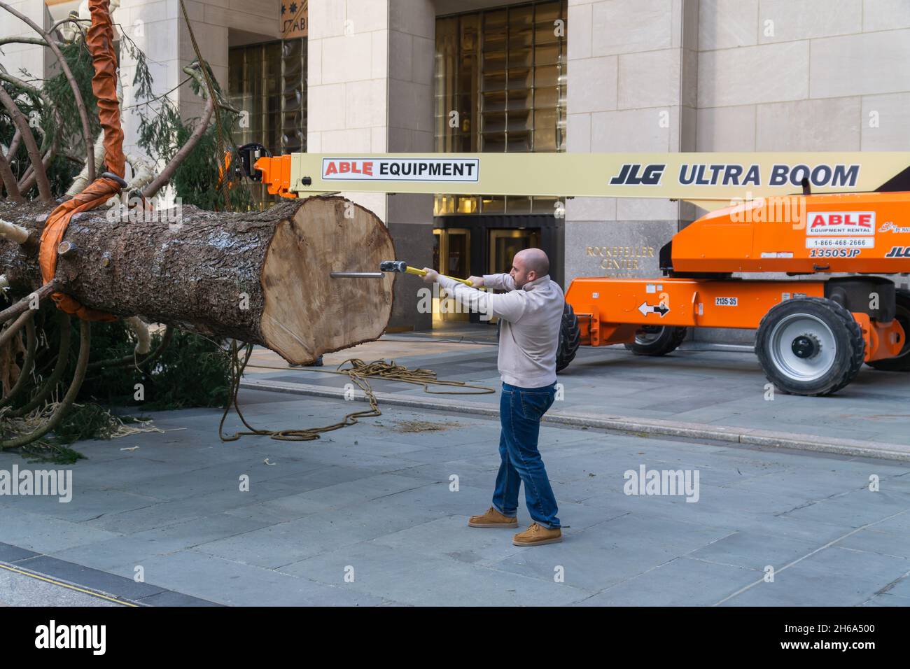 70 foot tall tree hi-res stock photography and images - Alamy