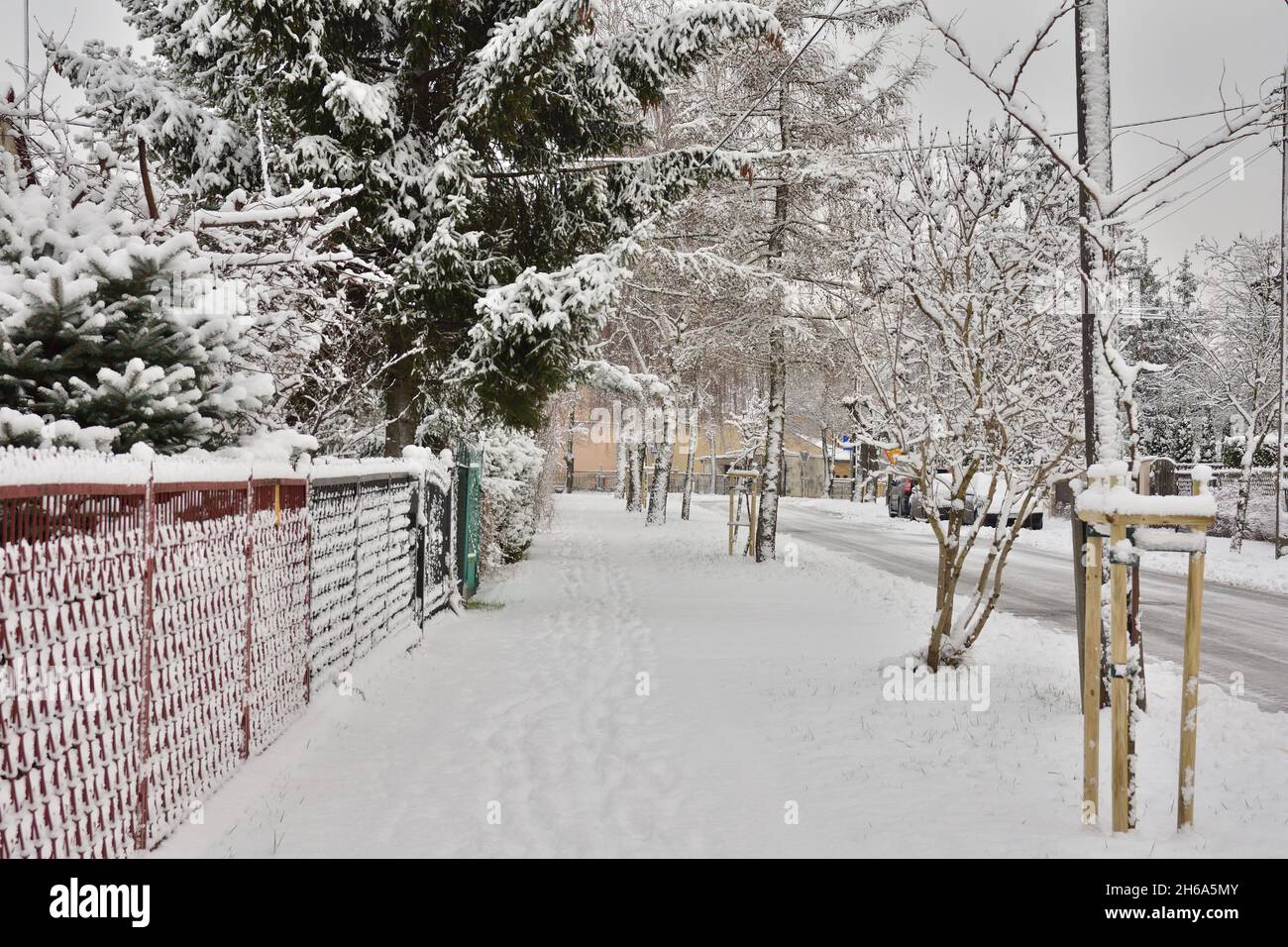 Trees, houses, road signs and street in a city covered with snow on a ...