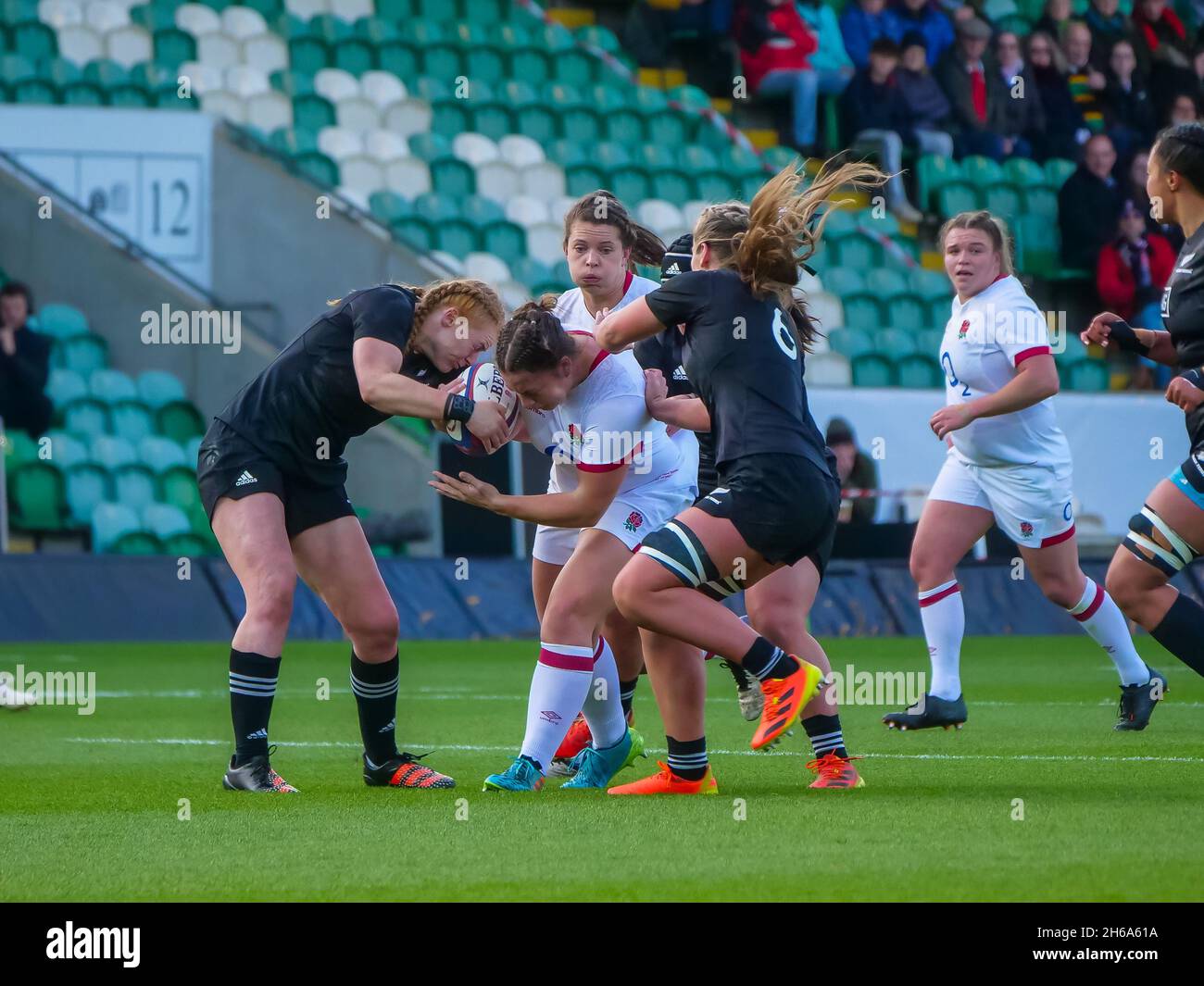 Red roses rugby black ferns hi-res stock photography and images - Alamy