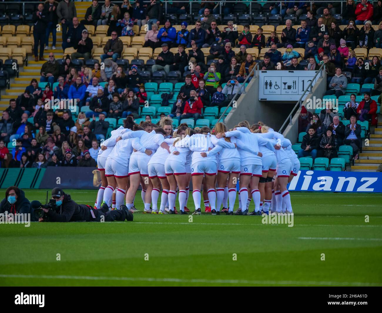 Black ferns hi-res stock photography and images - Alamy