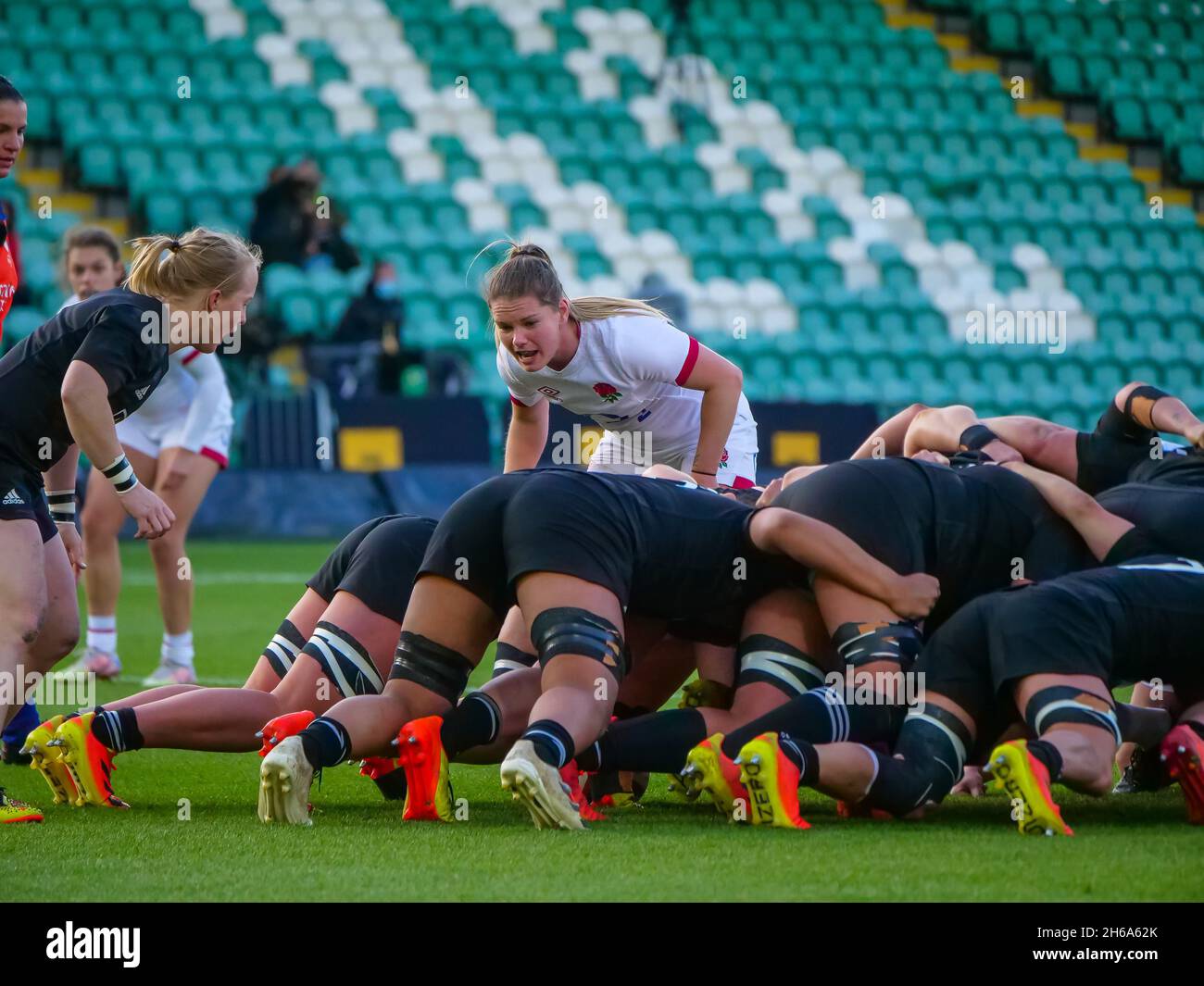 Red roses rugby black ferns hi-res stock photography and images - Alamy